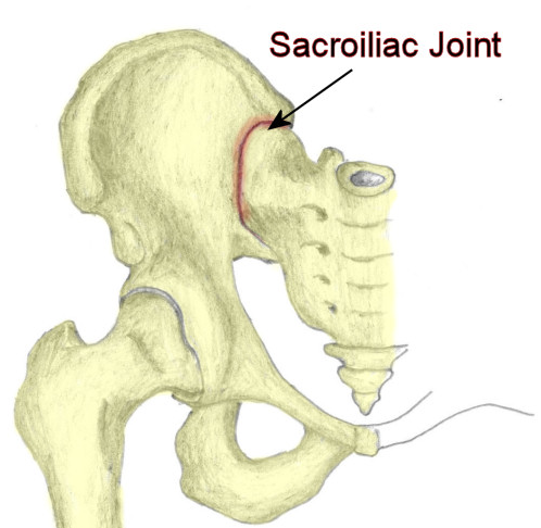 Article — Sacroiliac Joint Motion and Predictive Model of Dysfunction