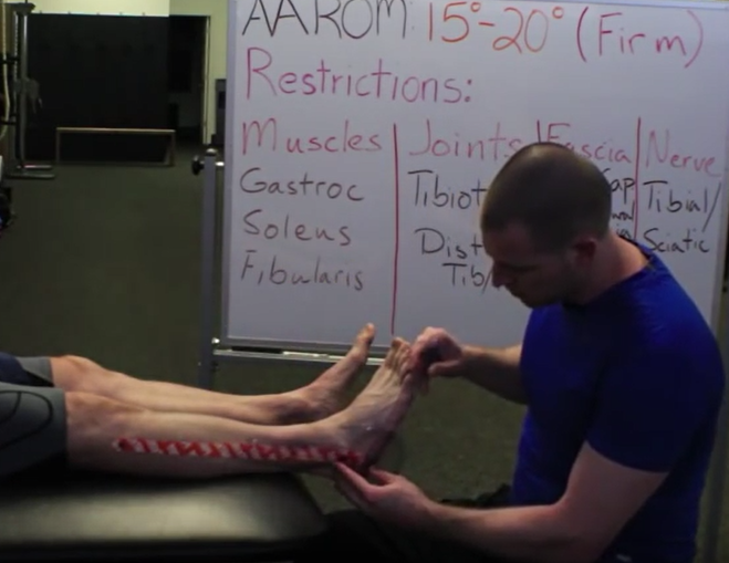 Article — Manual Muscle Testing: Introduction
