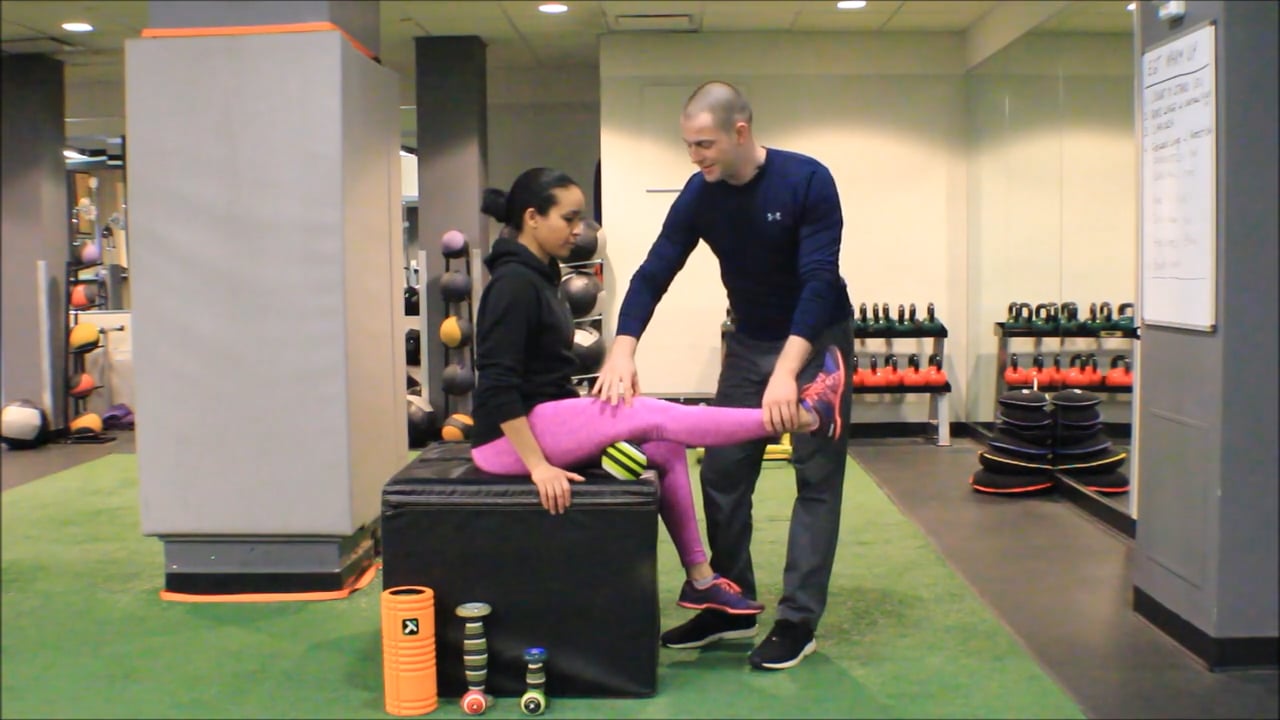 Article — EMG Activity and Force During Prone Hip Extension in ...