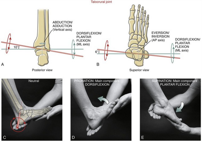 Dorsi And Plantar Flexion Angles