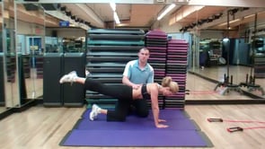 Article — Core Muscle Activity During Exercise in Quadruped Position